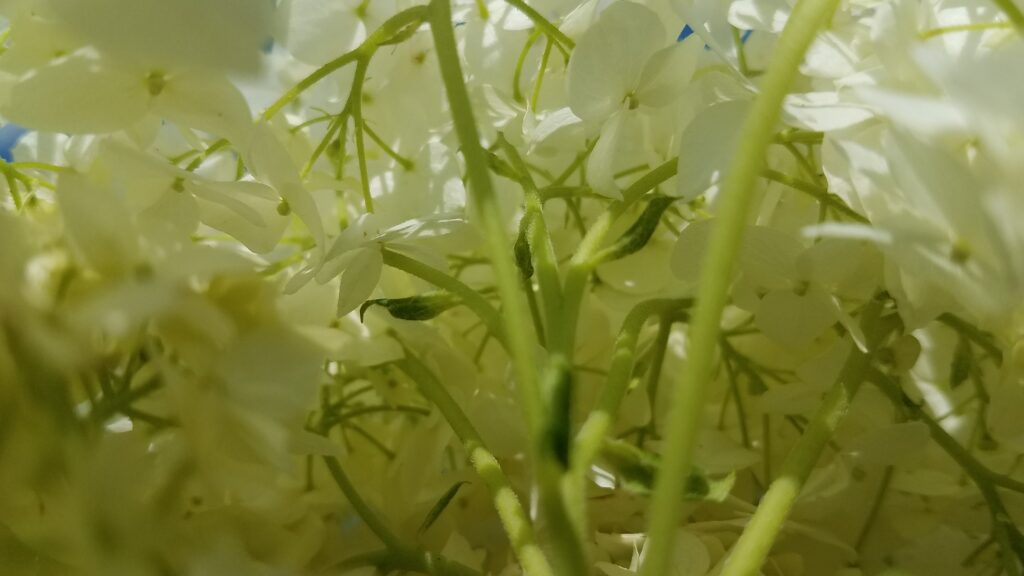Farmhouse Hydrangea Bouquet - A Farmette in Bloom