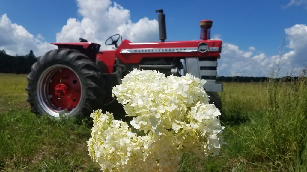Farmhouse Hydrangea Bouquet - A Farmette in Bloom