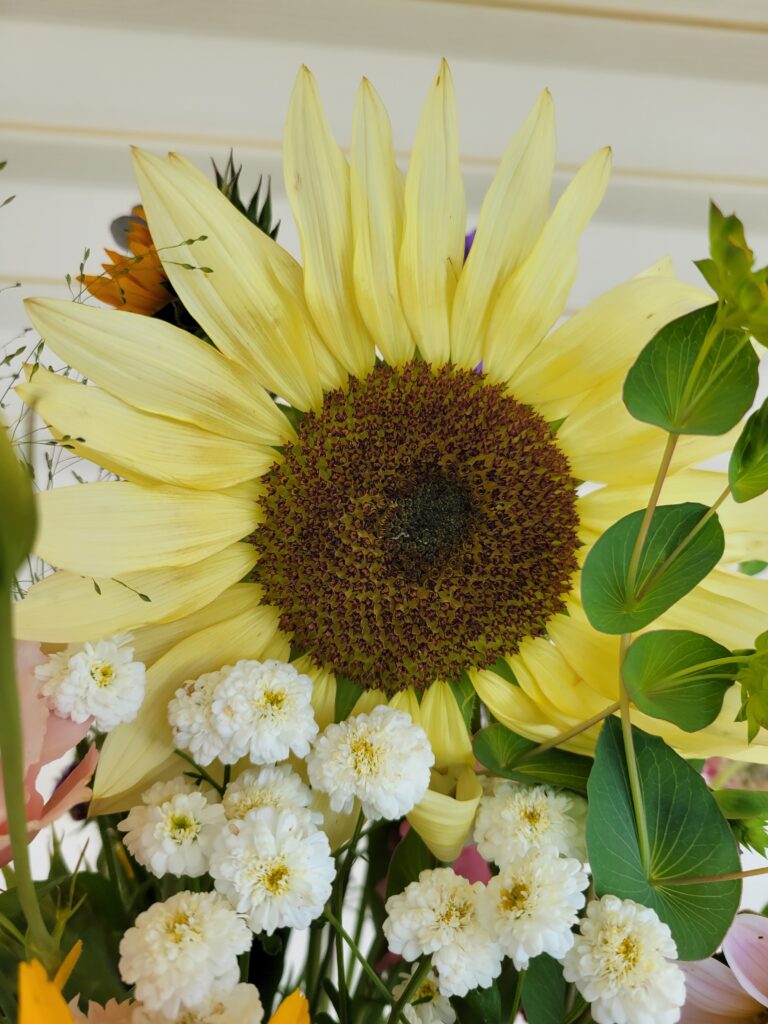 Walk Through the Garden Bouquet - Farmette in Bloom