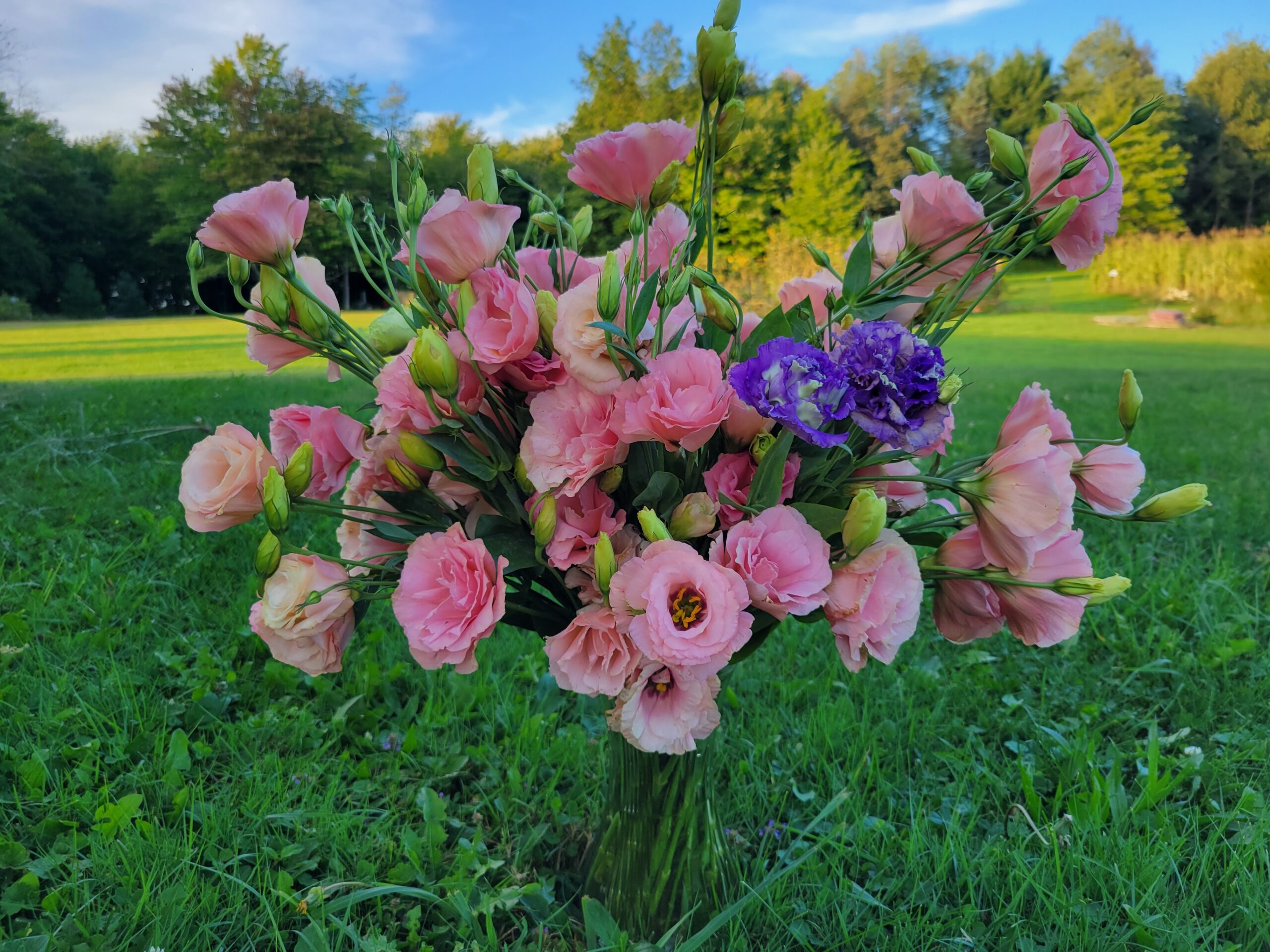 Arena Apricot Lisianthus Bouquet - Farmette in Bloom